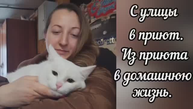 С улицы в приют. Из приюта в домашнюю жизнь.