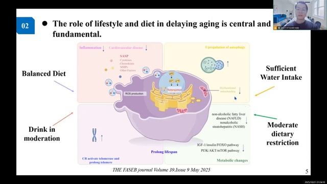 Aging and measures to delay aging