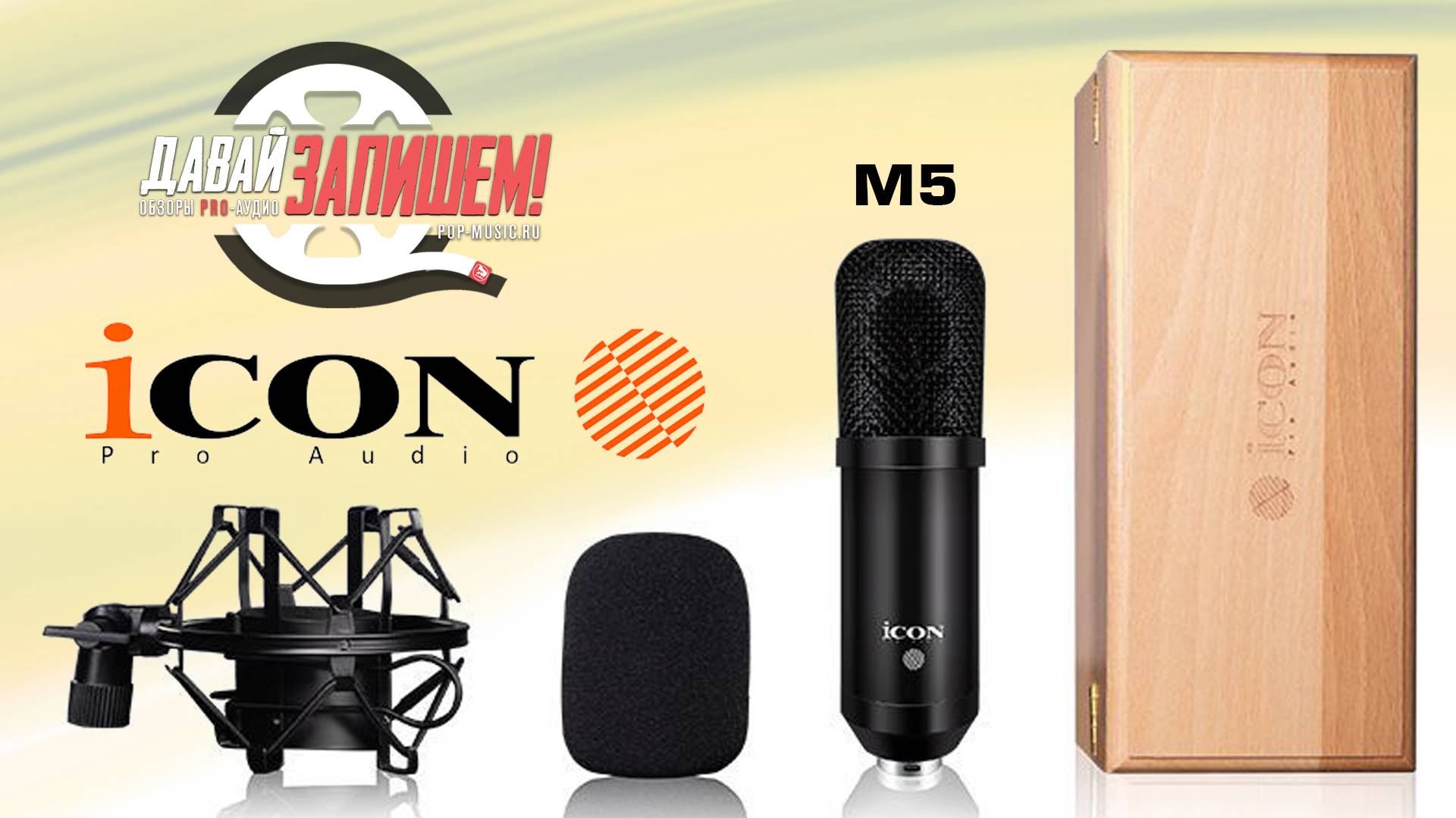 Студийный микрофон iCON M5