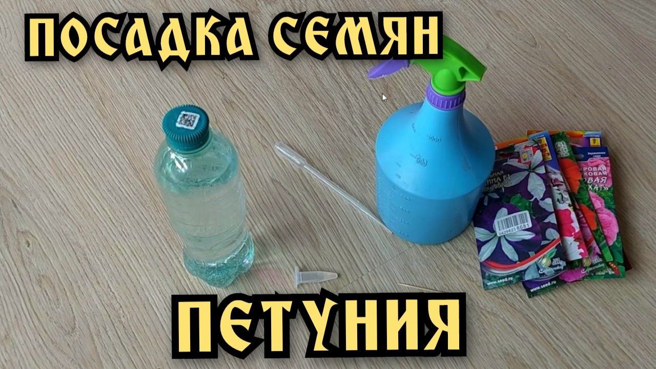 Как посеять петунию на рассаду. Использую надёжный способ.