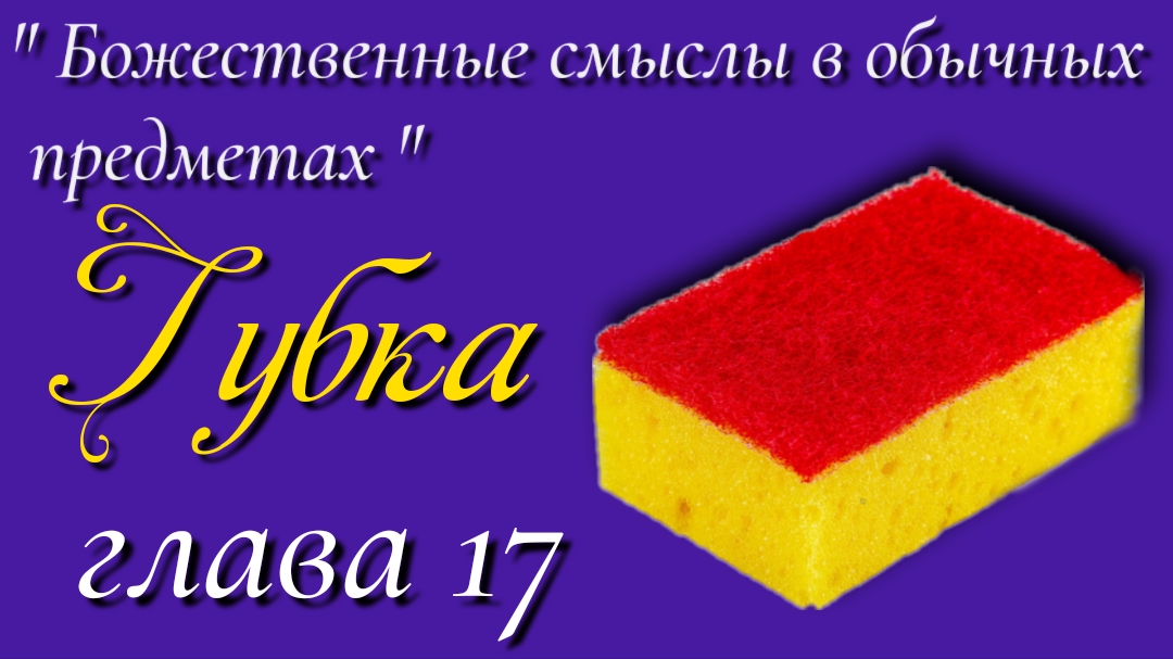 17) Губка