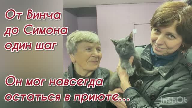 От Винча до Симона один шаг. Он мог навсегда остаться в приюте…