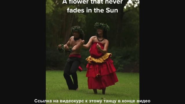 He Mele No Lilo - гавайский танец Lilo&Stitch (видеокурс)