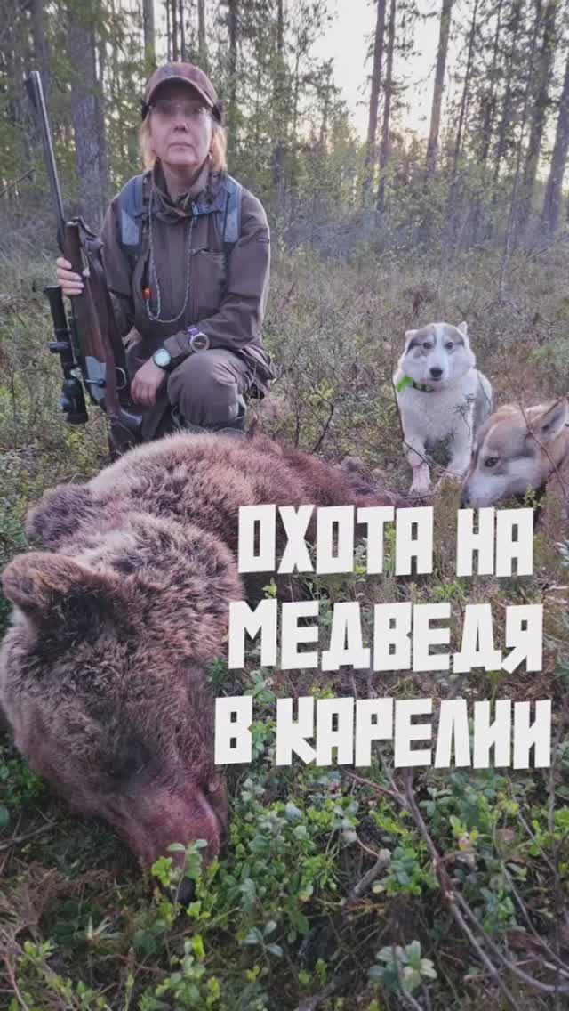 Охота в Карелии на медведя. +18