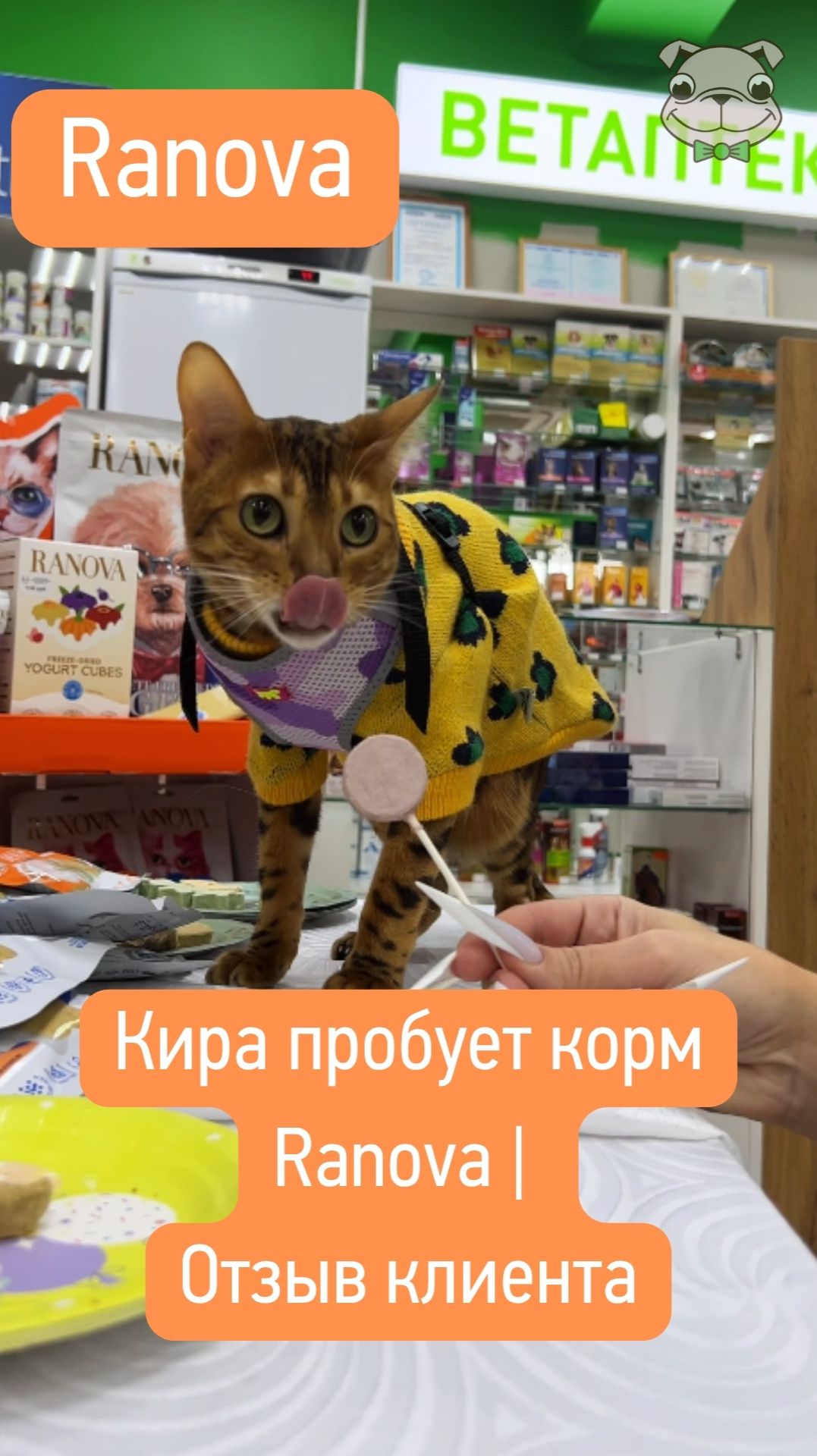 Отзыв клиента: питомец пробует новый корм | Кира оценила новинку от Ranova