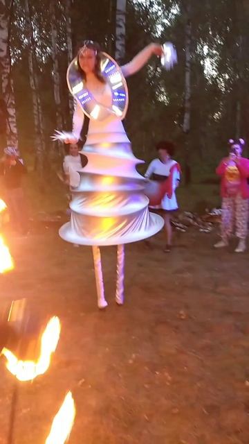 Световая ходулистка