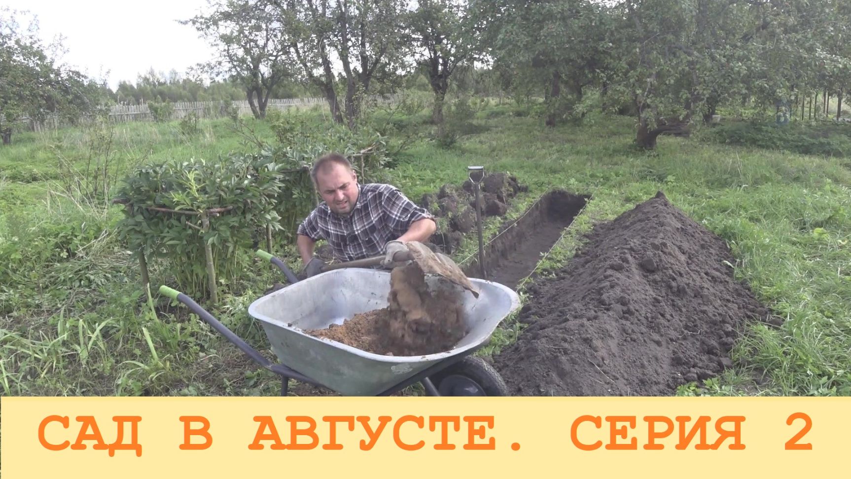 2025 Август. Обзор сада и работы в саду. Серия 2