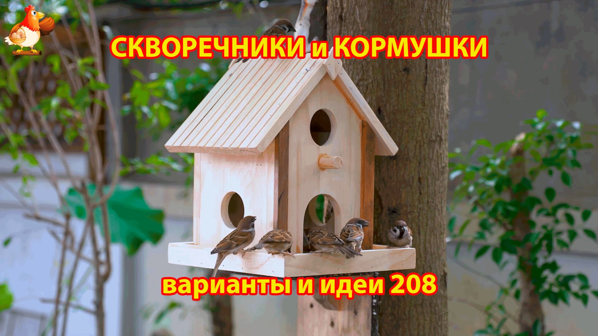 Скворечники и кормушки своими руками для птиц (208) 🪚🪛🔨 Идеи для дачи и сада пошагово ❣️