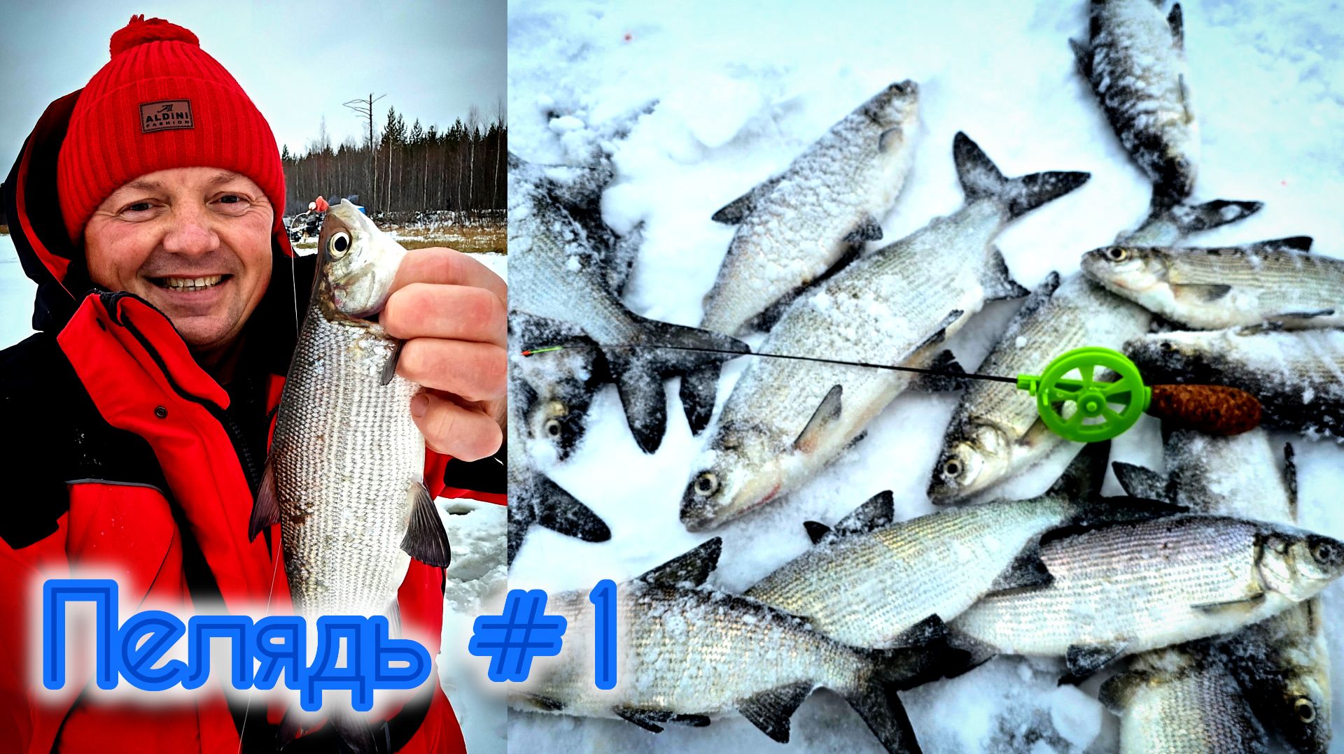 НЕРЕАЛЬНЫЙ КЛЁВ ПЕЛЯДИ