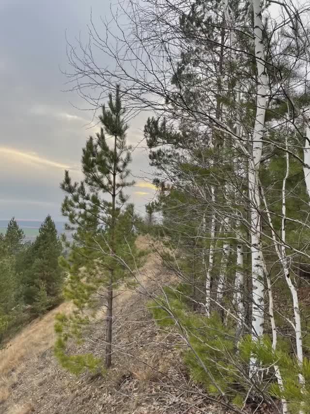 В ожидании снега…