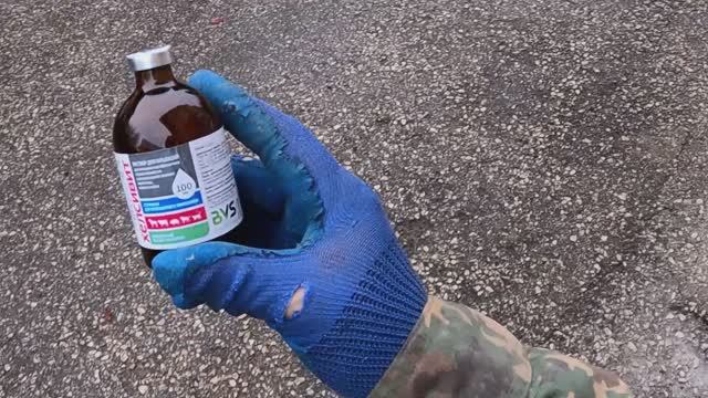 Новый день. Даем лекарство птице для профилактики.