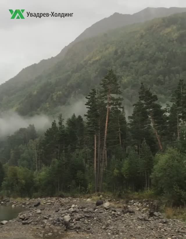 🌿Вдохновение природой от Увадрев-холдинг🌿