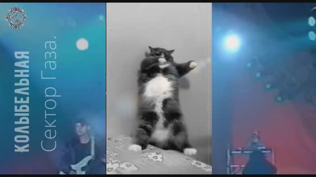 Колыбельная Сектор Газа