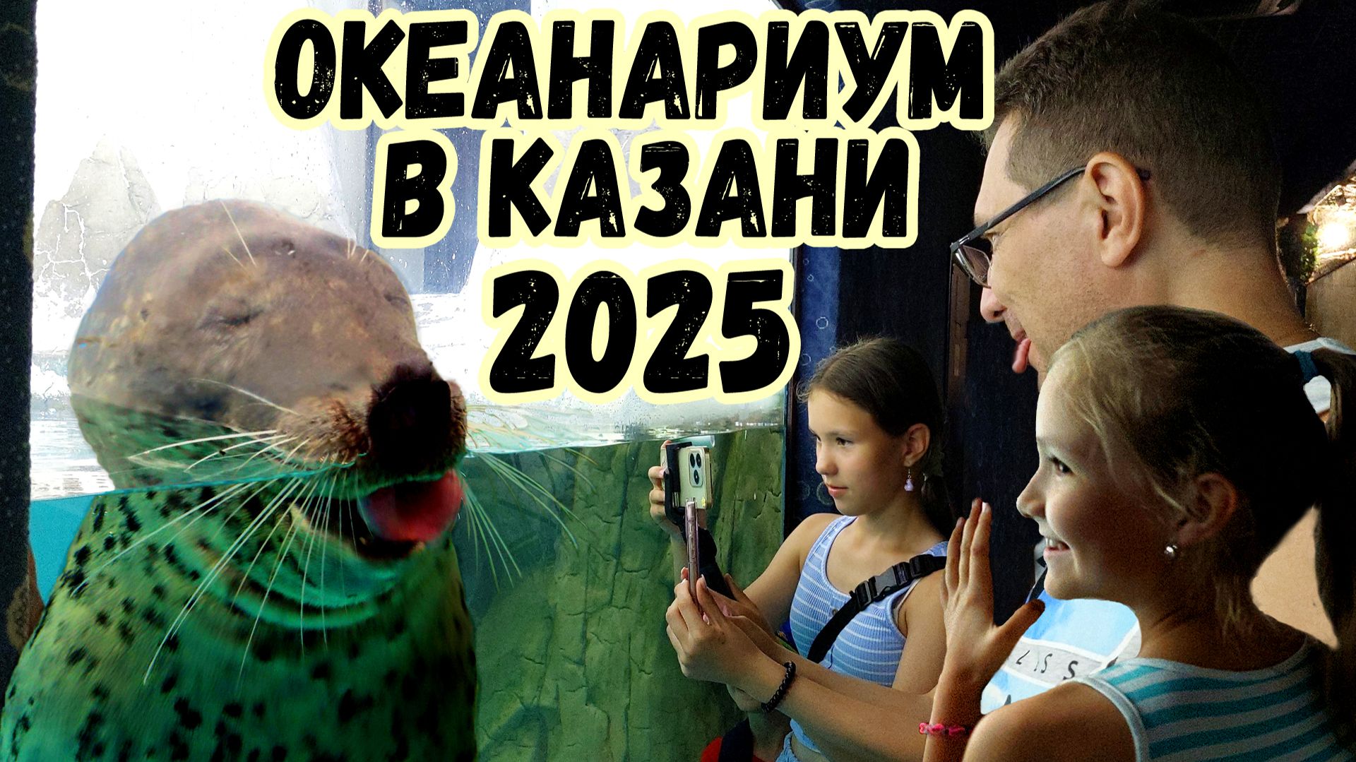 Казань. День первый. Океанариум