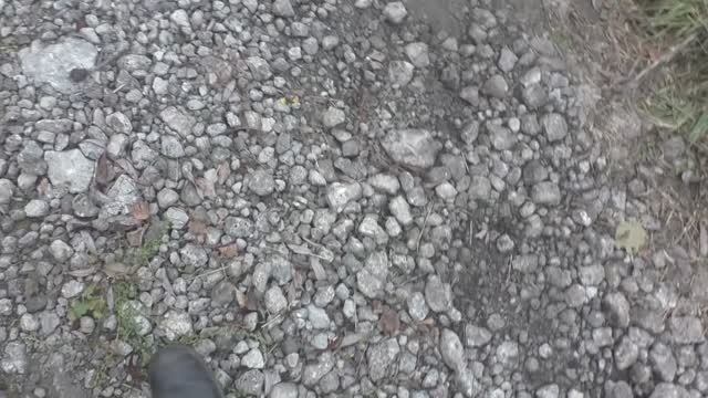Пример махинаций с сельскими дорогами