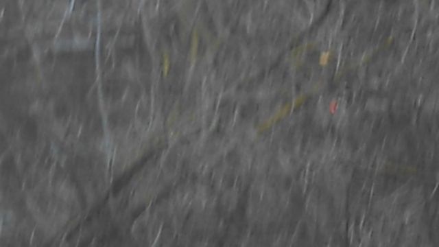 А белочка придет нежданно, когда ее совсем не ждешь. DSCN7013