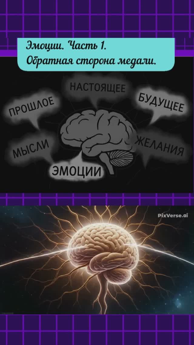 Мы все связаны. И это не метафора, а архитектура нашего сознания.