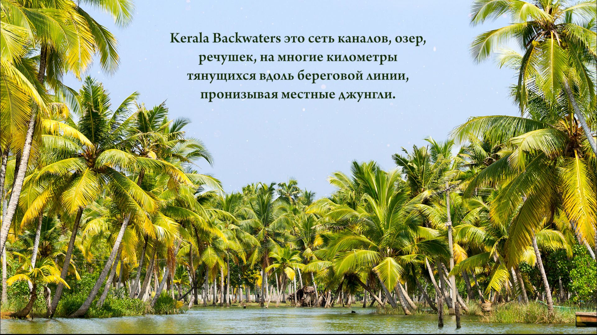 Путешествие по заводям Кералы (Kerala backwaters), Индия