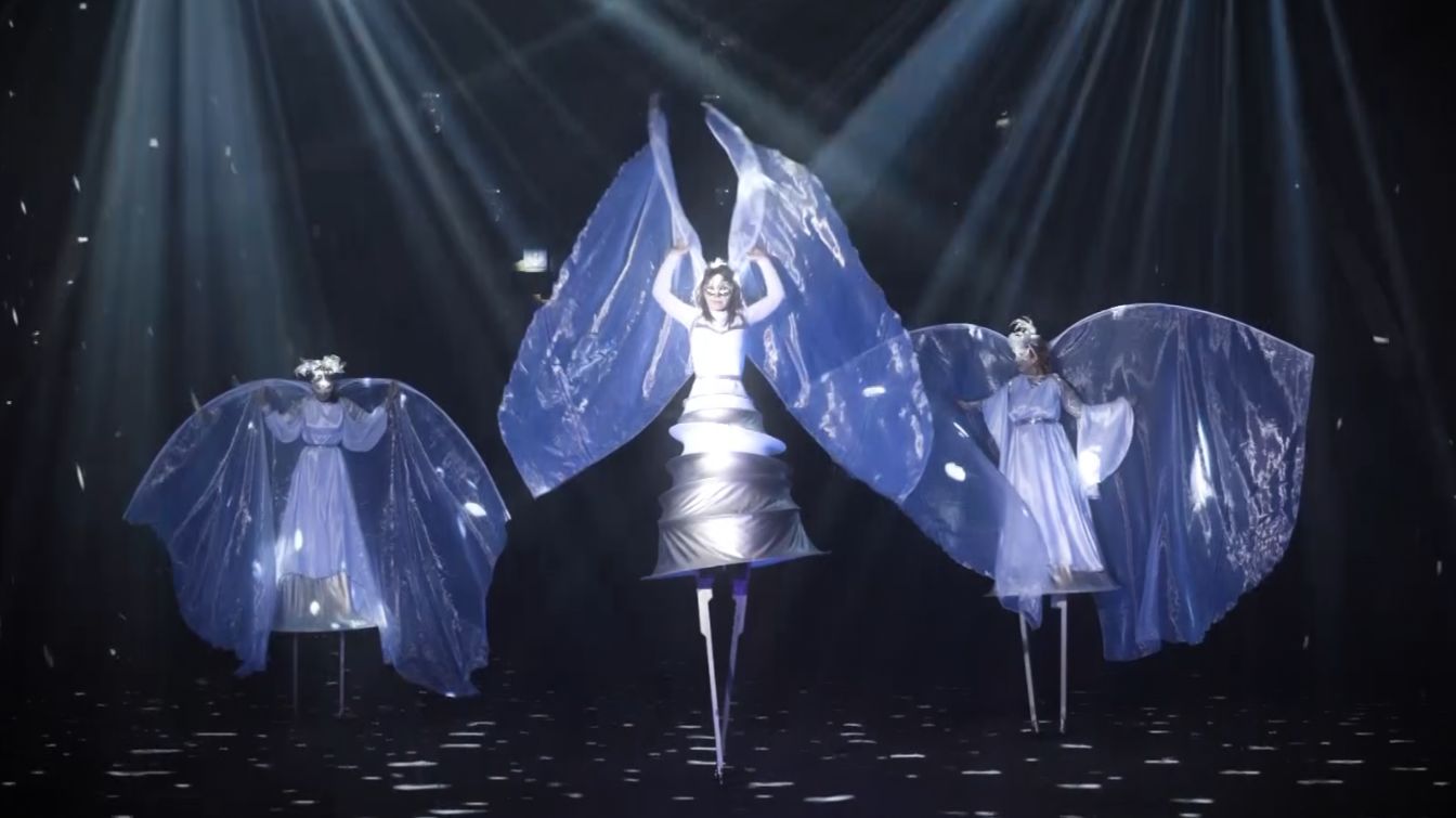 Световой номер "Волшебные птицы"