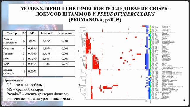 МОЛЕКУЛЯРНО-ГЕНЕТИЧЕСКОЕ ИССЛЕДОВАНИЕ ШТАММОВ YERSINIA PSEUDOTUBERCULOSIS, ВОЗБУДИТЕЛЯ ПСЕВДОТУБЕРК