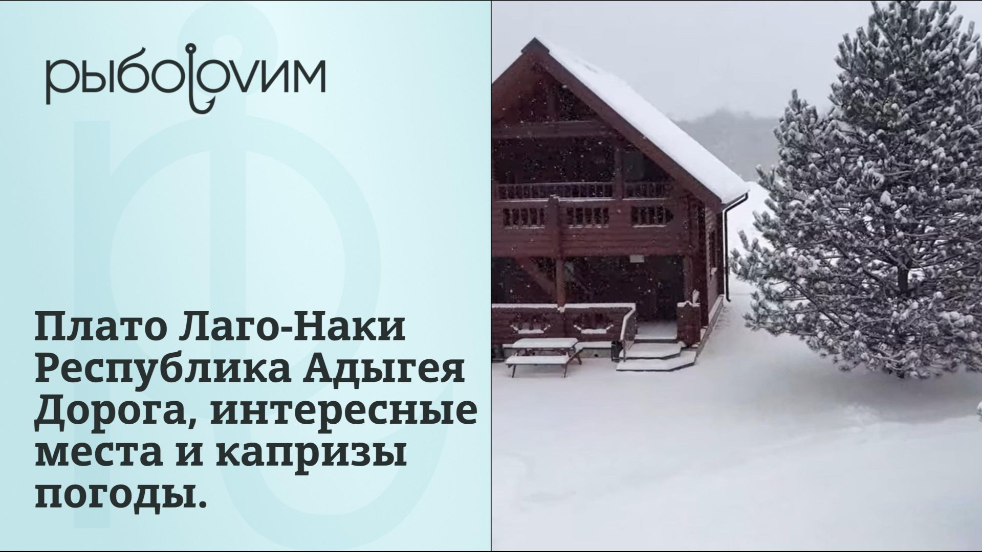 Лаго-Наки, Адыгея. Из зимы в лето и обратно за два часа.