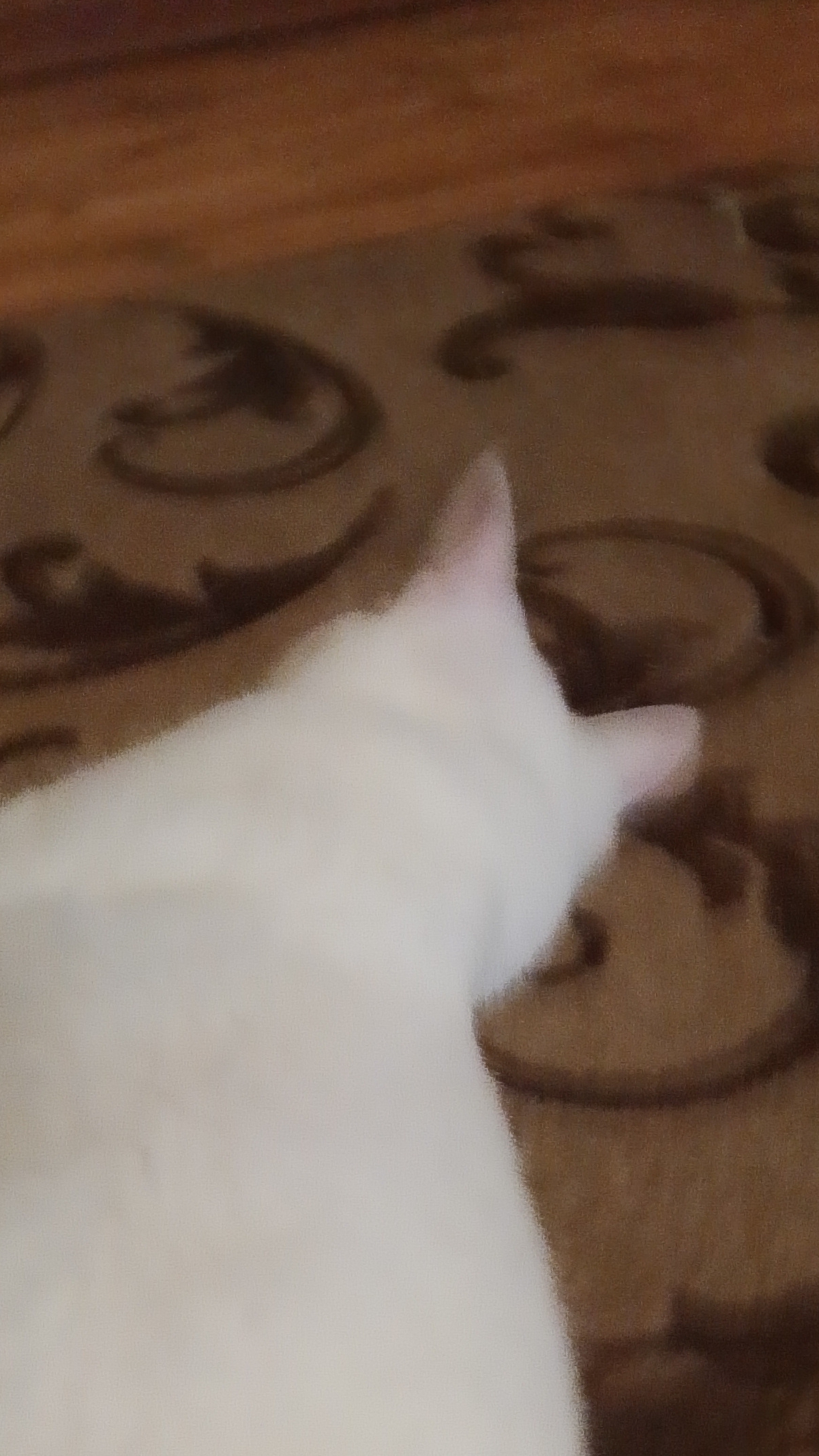 озвучка от Ромео (перезалив)