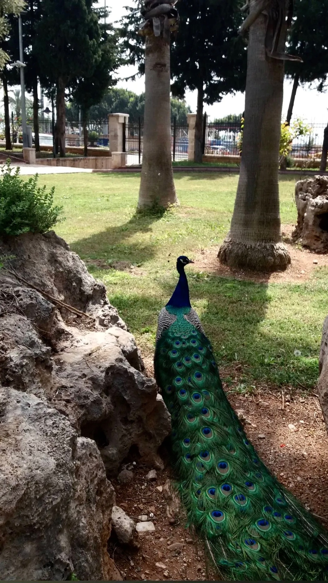 Главное - поразить...Остальное уже не важно.