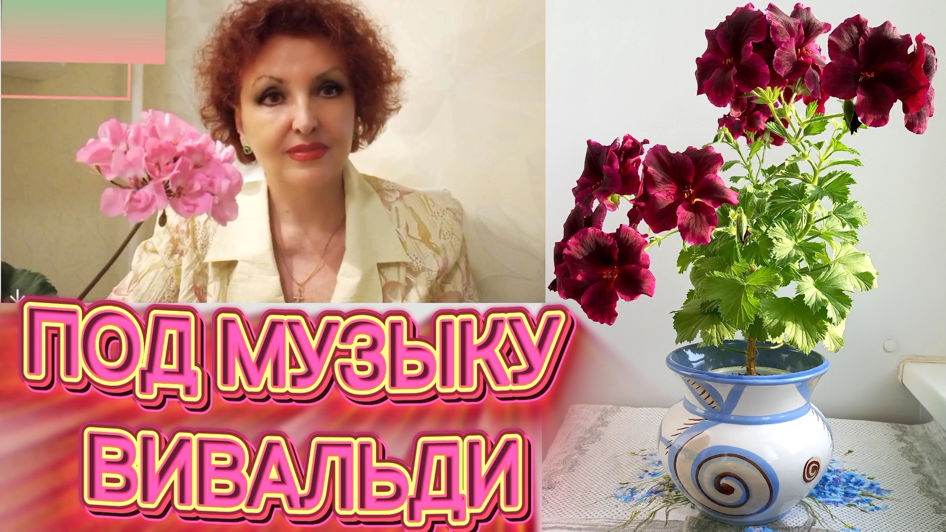 Королевская пеларгония под музыку Вивальди цветёт пышнее и ярче.