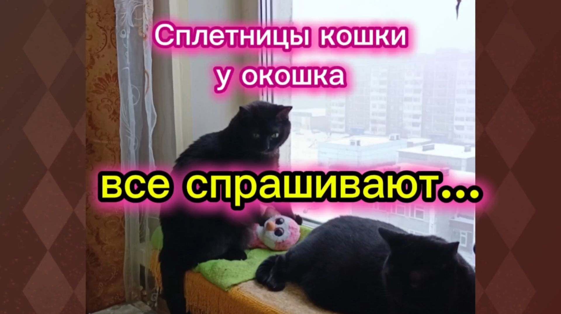 Кошки с озвучкой.