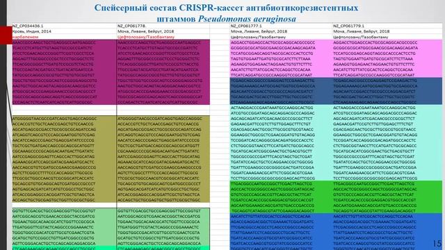 РАЗРАБОТКА ПОДХОДОВ ТАРГЕТНОЙ ФАГОТЕРАПИИ НА ОСНОВЕ ИССЛЕДОВАНИЯ СТРУКТУР CRISPR/CAS СИСТЕМ В ГЕНОМ