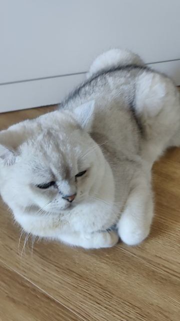 КРУТО БЫТЬ ЛЕГЕНДАРНЫМ