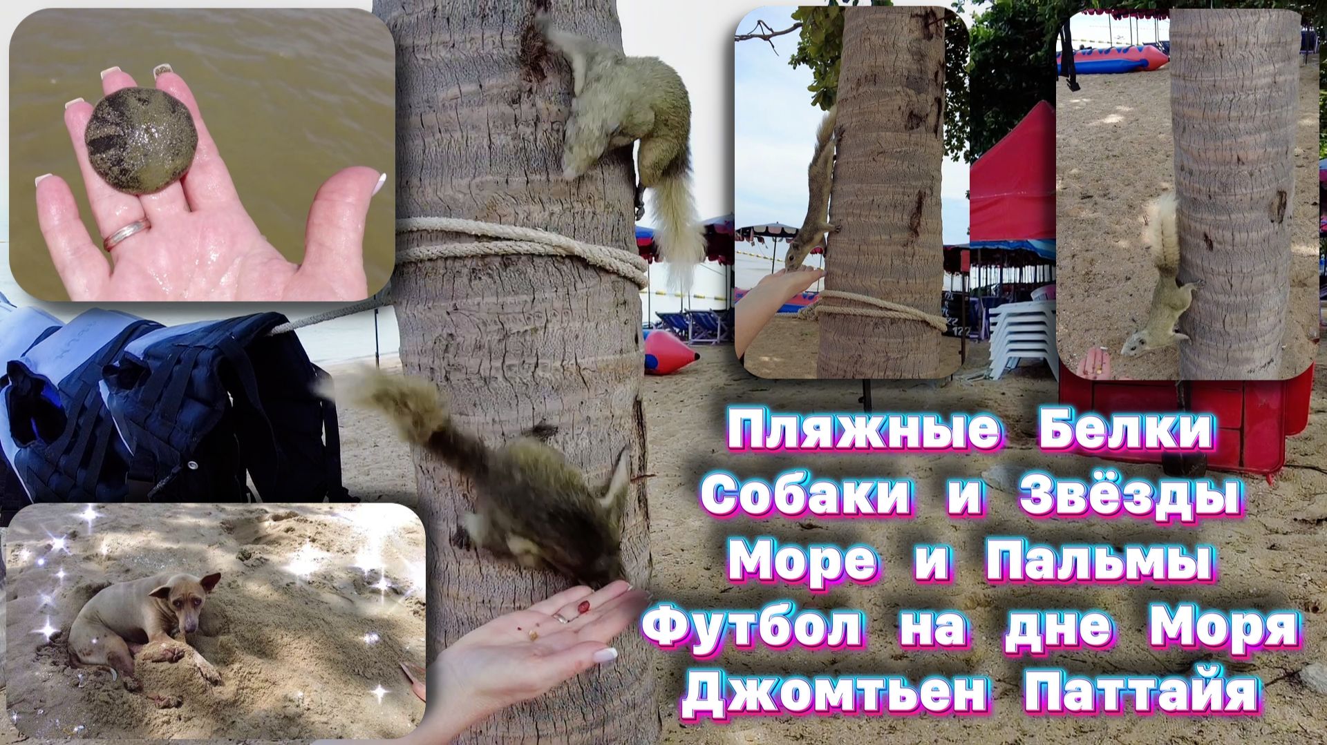 Пляжные Белки Собаки и Звёзды, Море и Пальмы, Футбол на Дне Моря, Джомтьен Паттайя смотрите на Рутуб