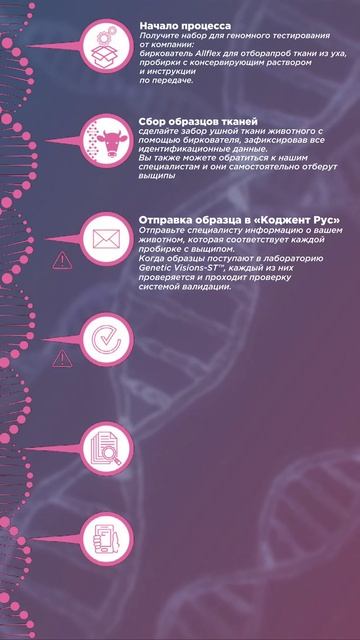🧬Геномное тестирование: DNA-разведка вашего стада