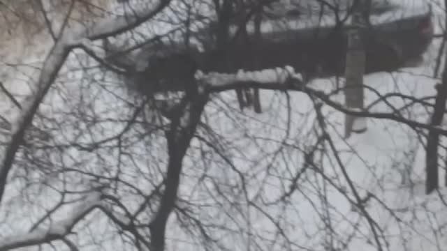 Белка Архив декабрь 2024. 34677521605403