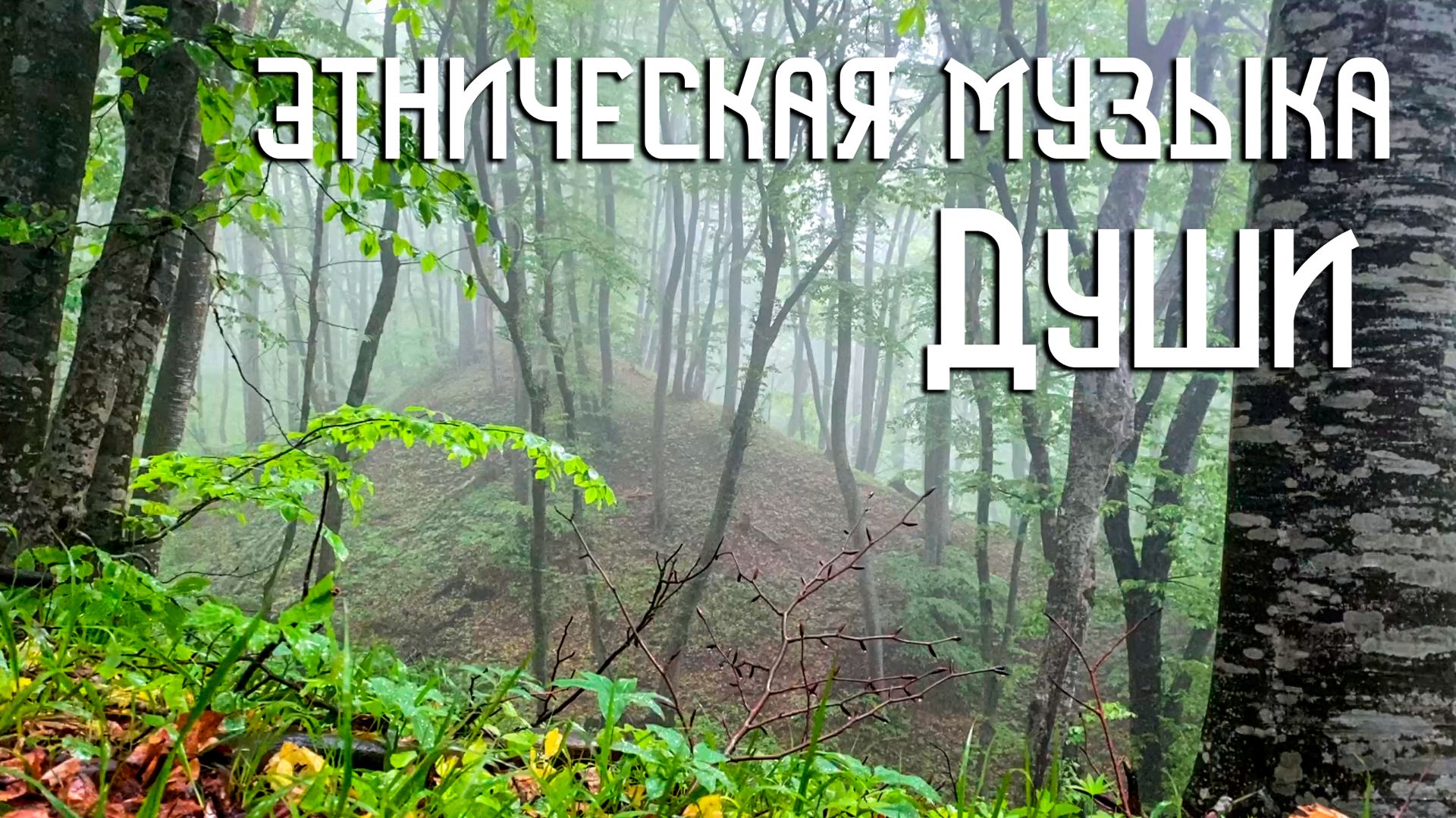 Этническая Музыка Души / Таинственный Лес / Флейта, Диджериду, Звуки Леса