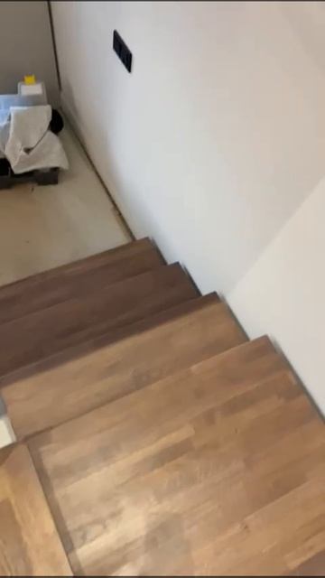 Лестница на монокосоуре со ступенями и перилами