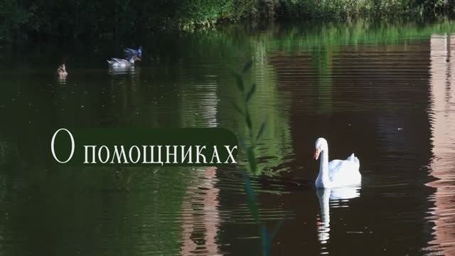 Сказка о помощниках
