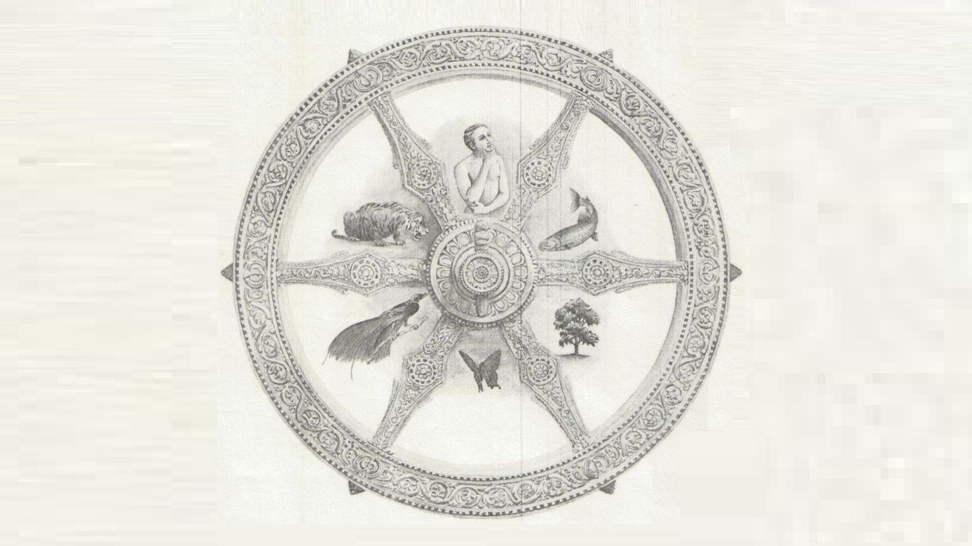 2014 Реинкарнация. Переселение душ. Урок в Нью-Йорке. Ева Левит