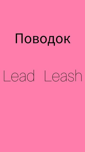 Как же будет по английски ПОВОДОК?