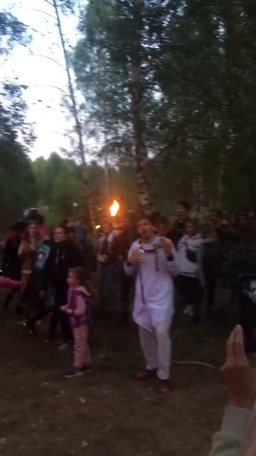 Световая ходулистка