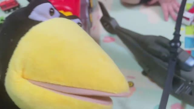 Ворона Ася в гостях у Тёмы