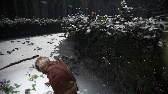 A Plague Tale: Innocence [11]