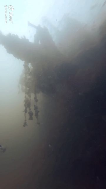 Рэк-дайвинг в Дубае, дайвинг в Дубае, дайвинг в Эмиратах