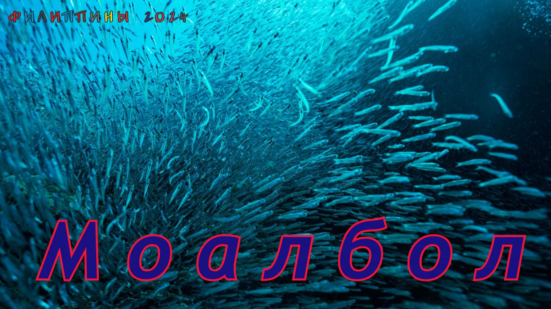 Филиппины. Остров Себу. Моалбол.