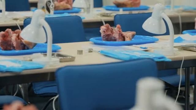 Увеличение объёма костной ткани с помощью мембраны PTFE и СОСИДЖ техники