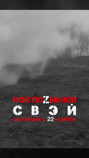 МОЙ ПОZЫВНОЙ СВЭЙ shorts ТУМАН