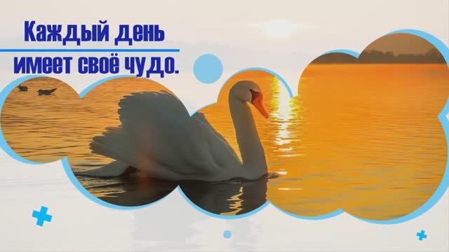 МЫСЛИМ КОРОТКО НО МЕТКО 👍