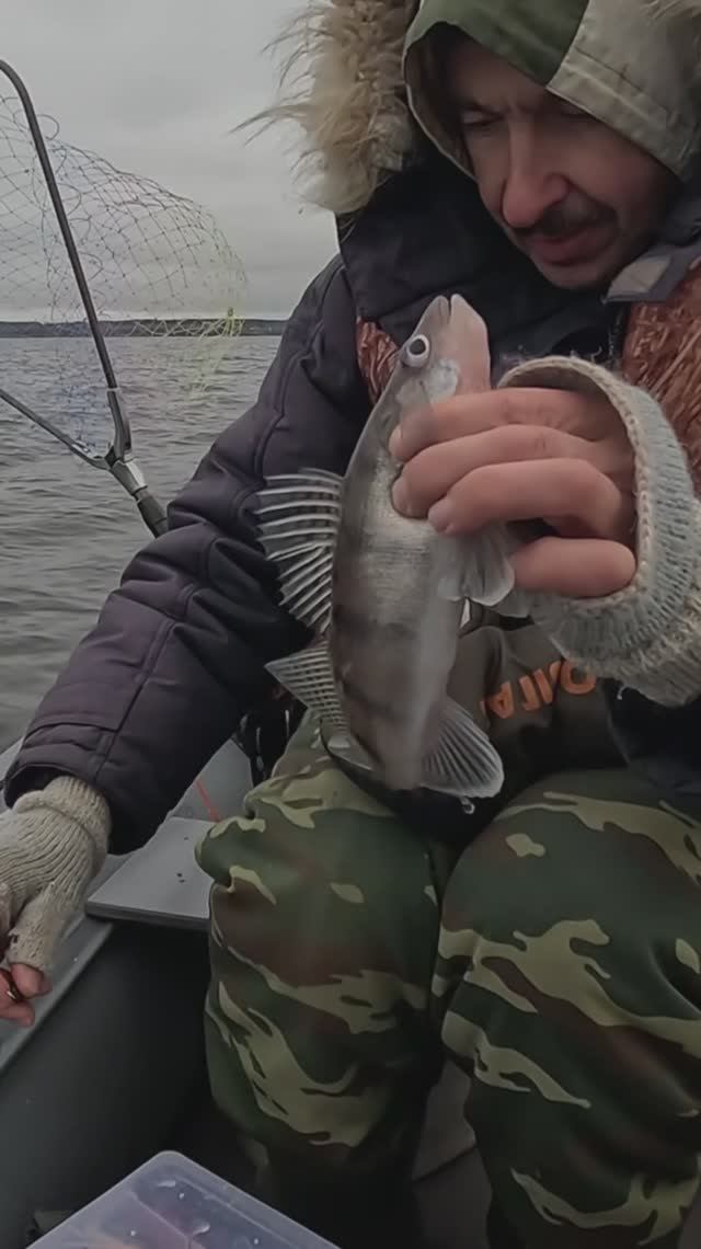 На красный глаз!