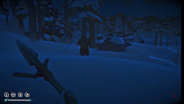 The Long Dark [11]