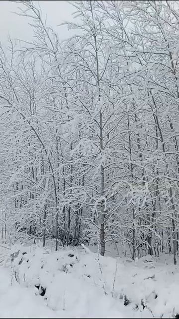 Зимние зарисовки. Зима в деревне. Зима в Марий Эл